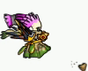 Set Earth wizard F - Gifyu